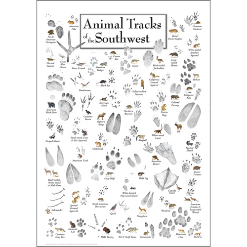Animal Tracks of the Southwest - Clinical Charts and Supplies