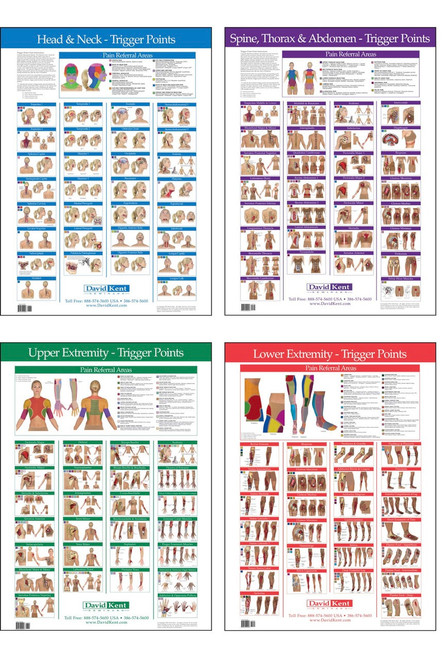 Trigger Points 4 Chart Set - Clinical Charts and Supplies