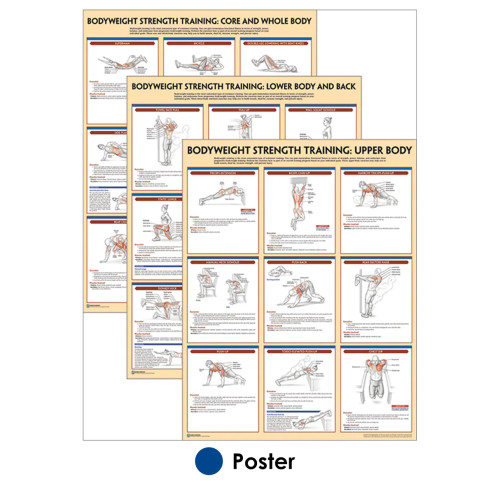 Bodyweight Strength Training Poster Series - Clinical Charts and Supplies