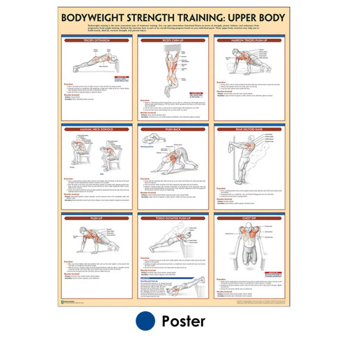 Bodyweight Strength Training Poster: Upper Body - Clinical Charts and ...