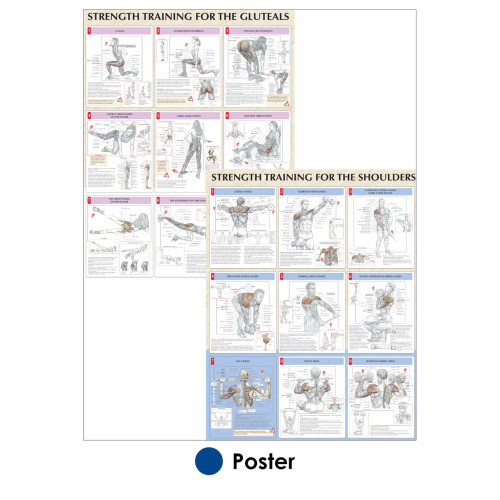 Exercise Training Posters- 7 Chart set - Clinical Charts and Supplies