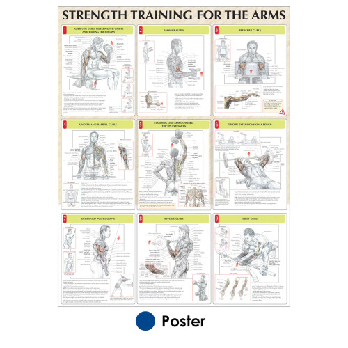 Arm Strength Training Poster - Clinical Charts and Supplies