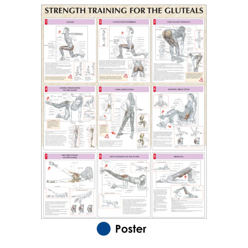 Strength Training - Buttocks Poster - Clinical Charts and Supplies