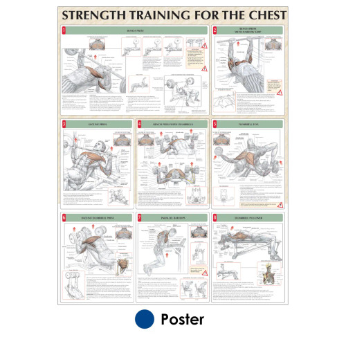 Chest Strength Training Poster - Clinical Charts and Supplies