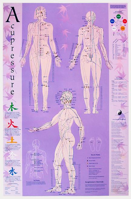 Acupuncture and Reflexology-Charts, Posters and Cards