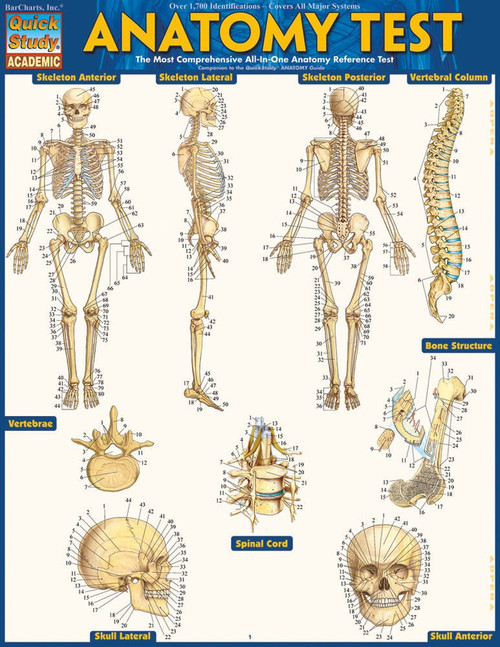Anatomy Test Chart - Clinical Charts and Supplies