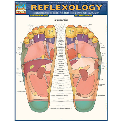 Acupuncture and Reflexology-Reflexology Charts, Posters and Cards