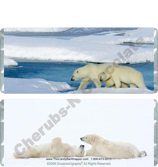 Polar Bears Candy Bars