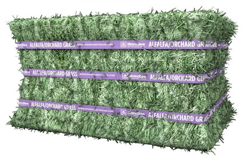 Premium Alfalfa Orchard Compressed Bale