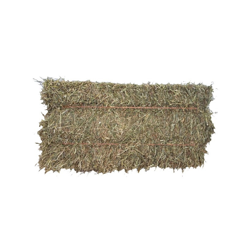 2 String Alfalfa