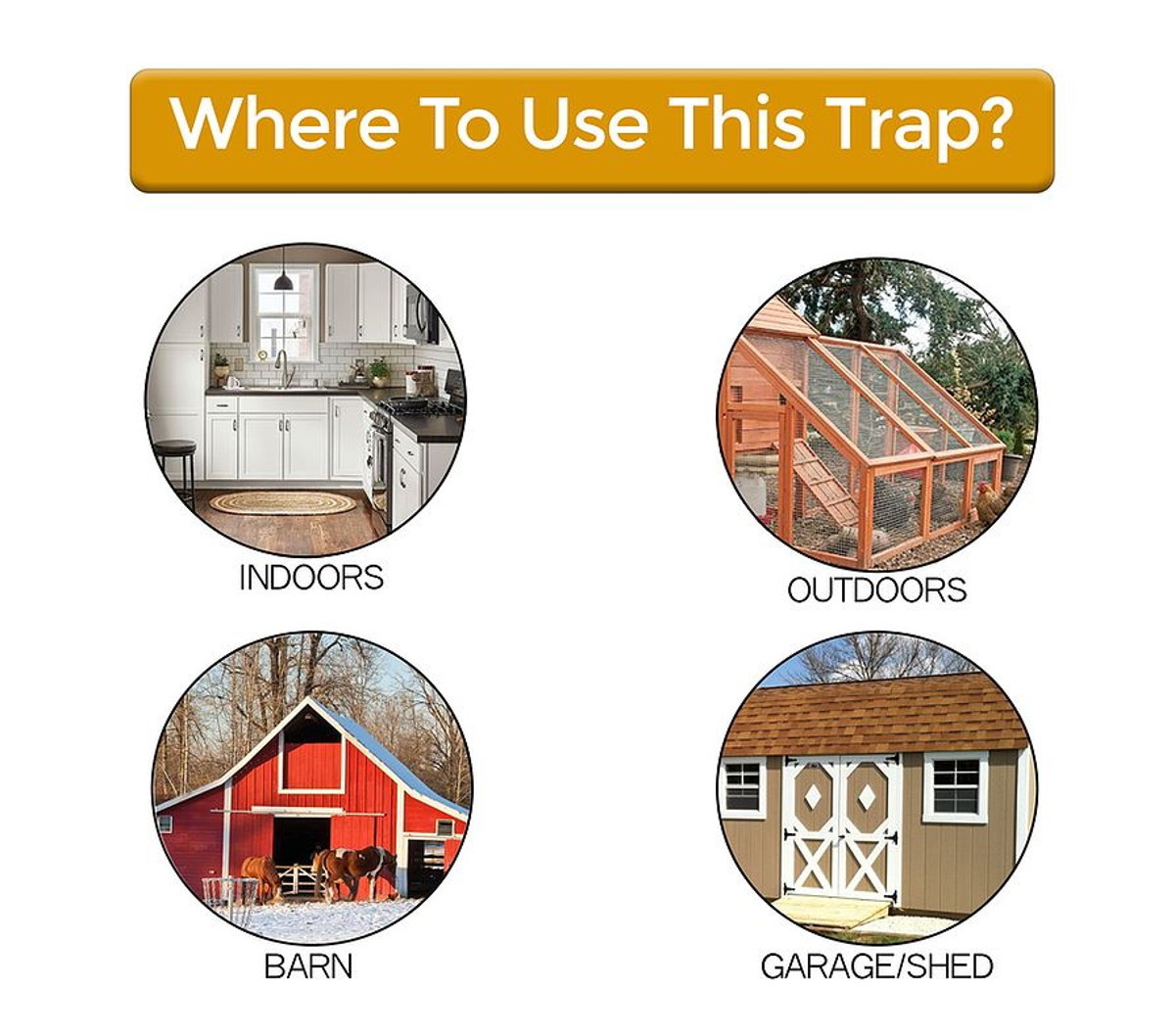 Rinne Traps Flip-N-Slide Mouse Trap