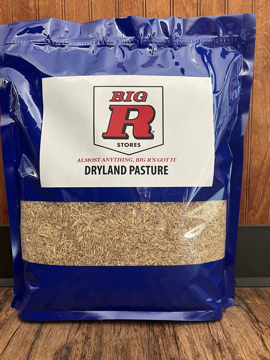 Buffalo Brand Dryland Pasture Mix 5lb