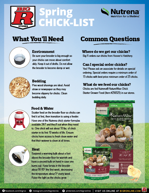 Spring Chick-List - Getting Started with New Chicks - Big R