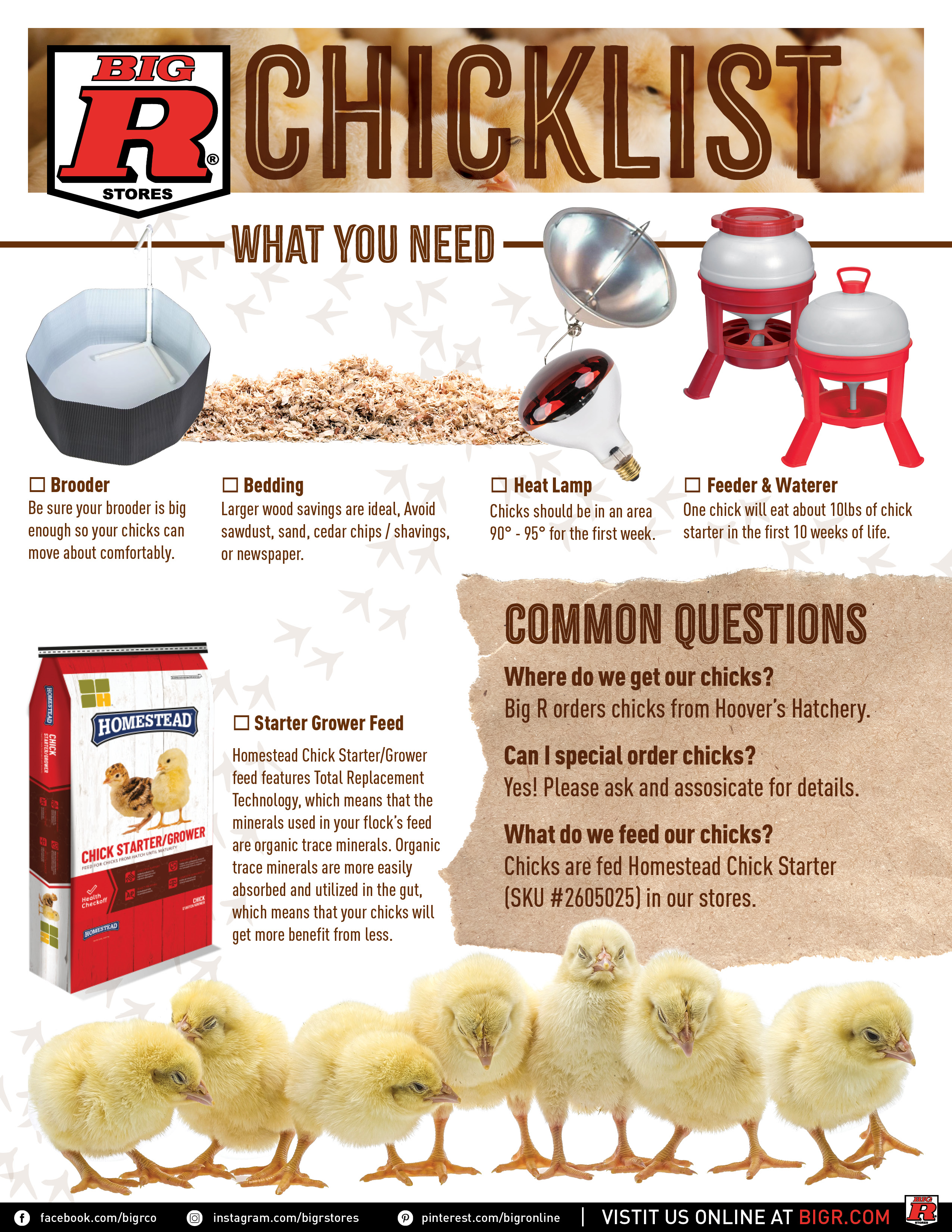 Spring Chick List - keeping your flock happy & healthy - Big R