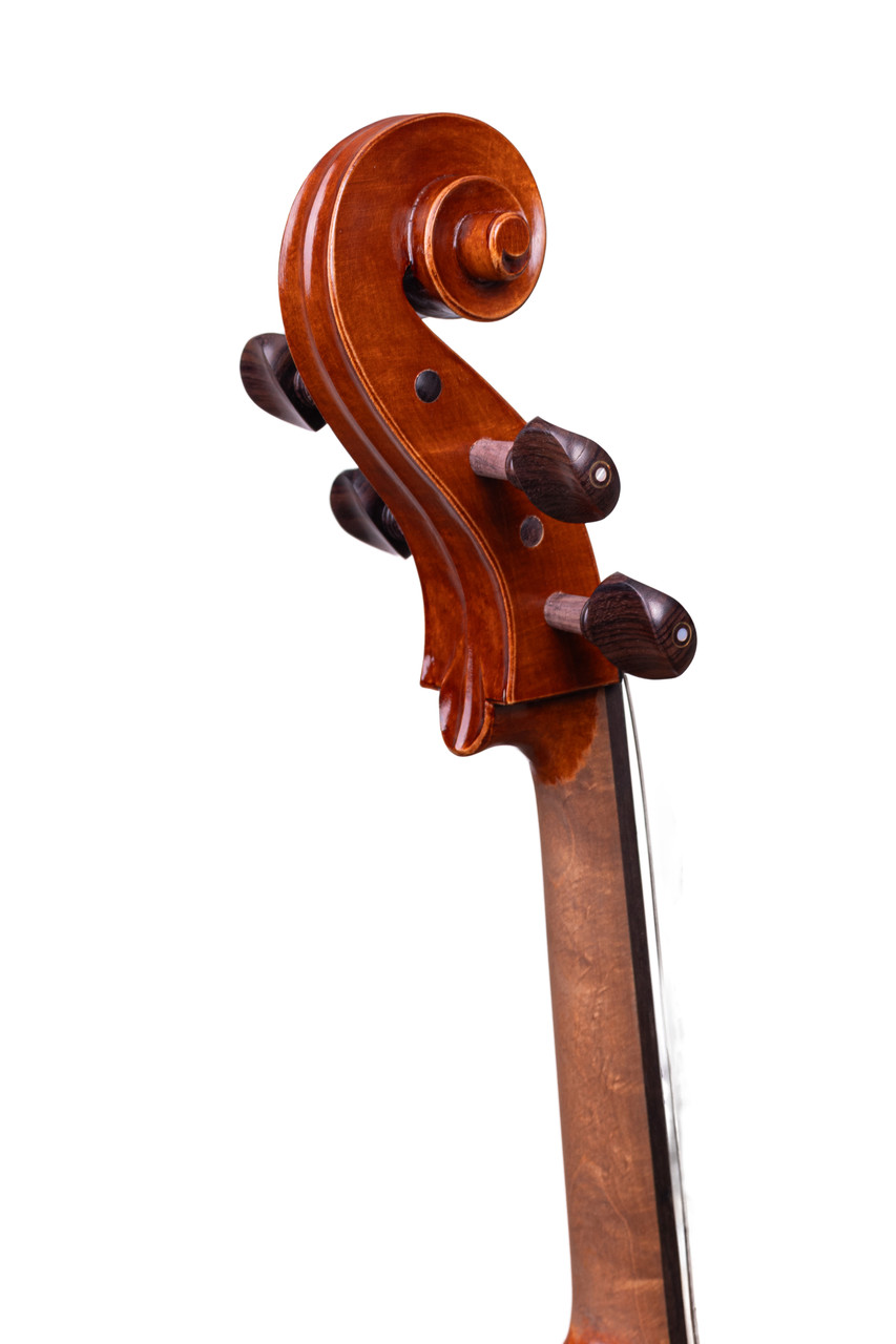 Professional Level Stradivari Cello 4/4 #29 - Vivarius Instruments