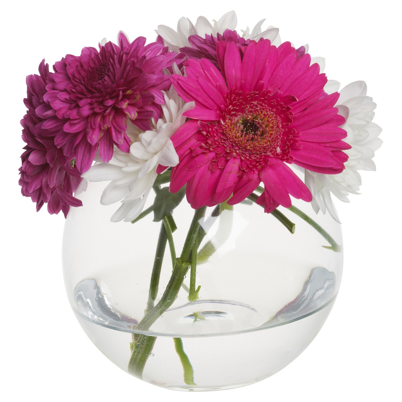 Small Round Glass Vase Fish Bowl
