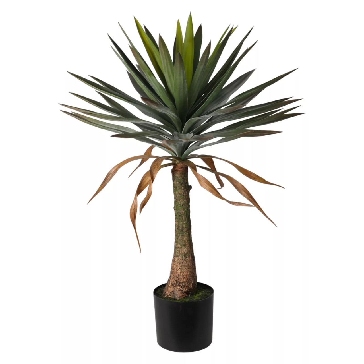 Large Artificial Yucca