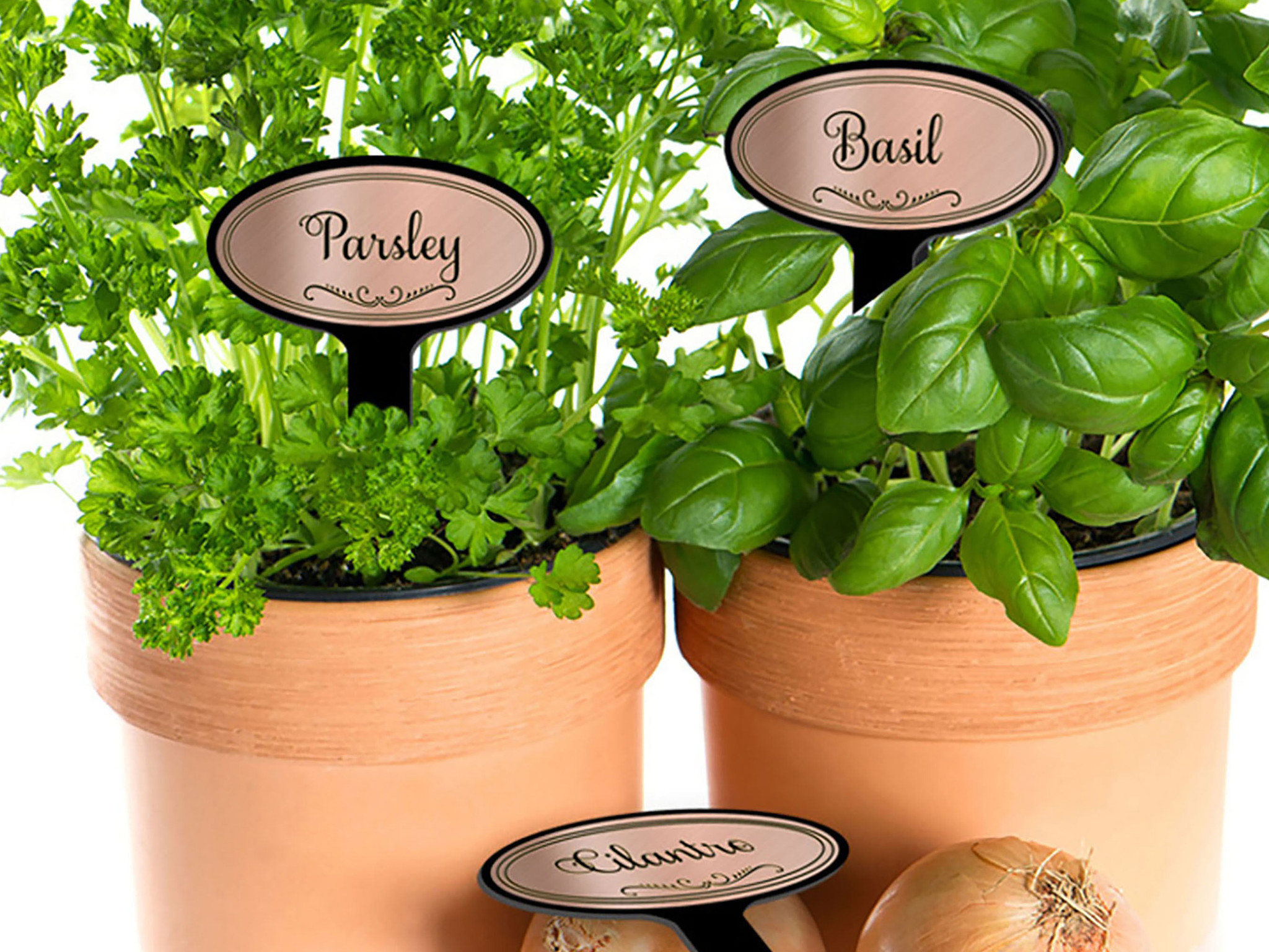 OVAL-TOP Garden Stakes Metalgraph Acrylic Herb Plant Markers bny Red ...