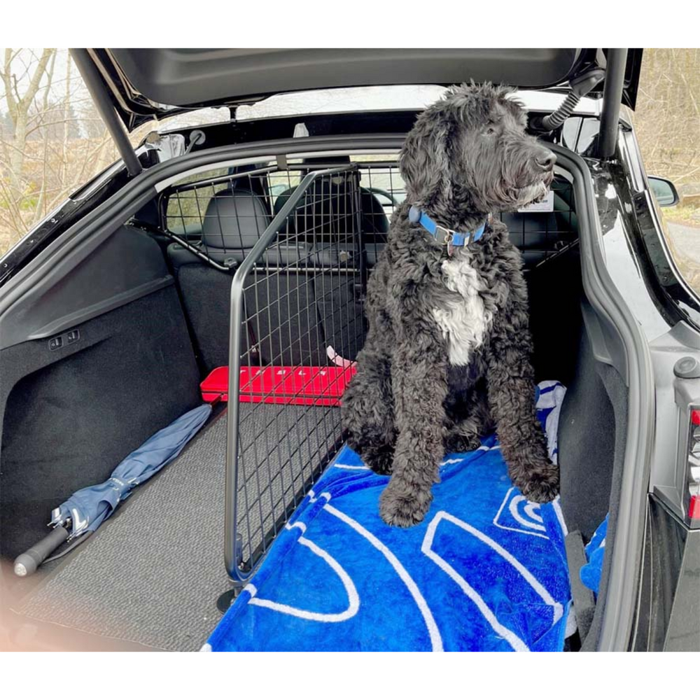 Guardsman Dog Guard and Divider Bundle, Tesla Model Y 2021-2025 - ViVA ...