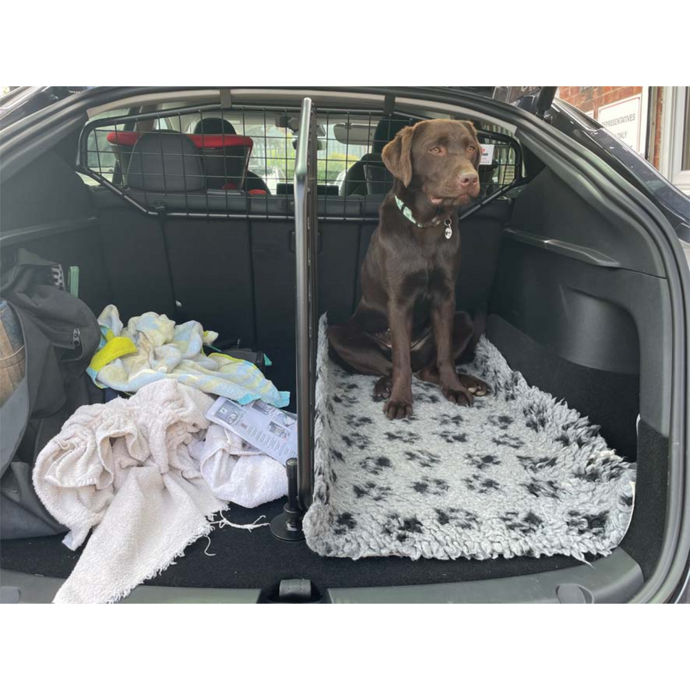 Guardsman Dog Guard and Divider Bundle, Tesla Model Y 2021-2025 - ViVA ...