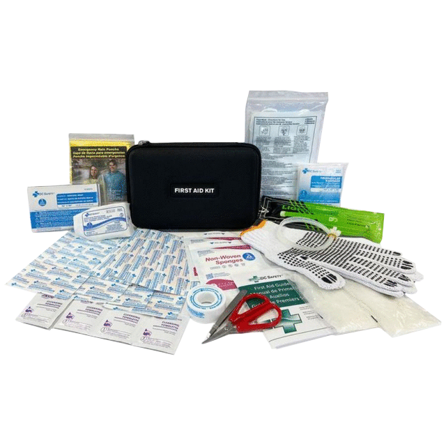 Genuine Polestar First Aid Kit - ViVA Performance