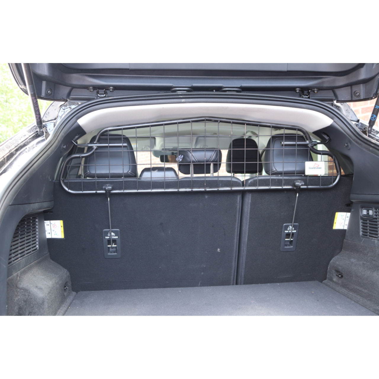 Guardsman Dog Guard, Ford Mustang Mach E 2021+ - ViVA Performance