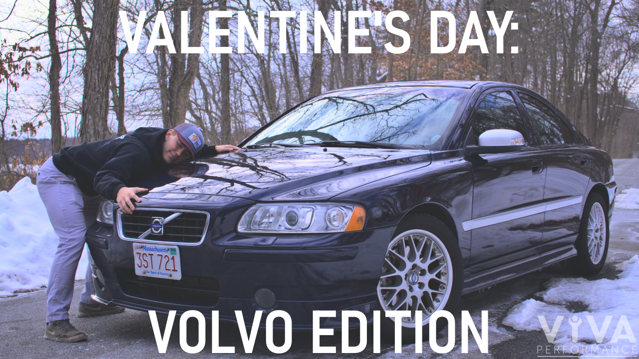 Celebrating Valentine's Day With Your "Significant Other" - ViVA ...