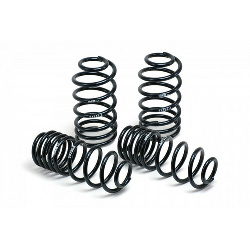 H&R 50490-88 Race Series Lowering Springs BMW E90 335i