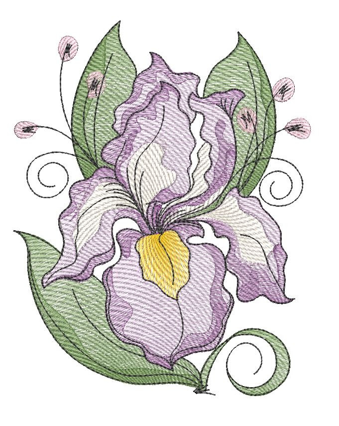 Iris Cluster (Flowers Only - NO Background)- Fits a 4x4", 5x7" and 8x8 ...