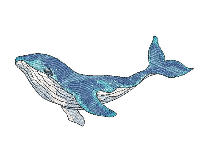 Whale (Whale Only - NO Background) - Embroidery Designs