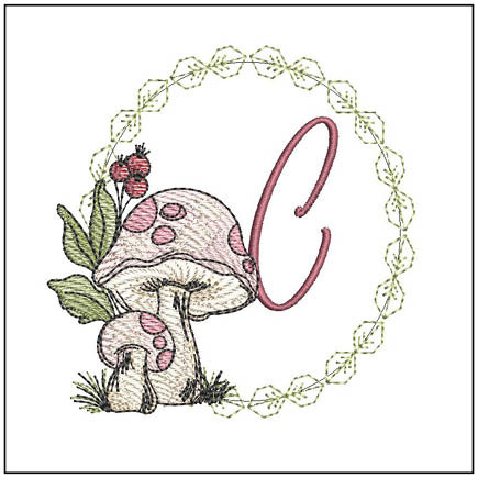 Wild Mushrooms ABCs