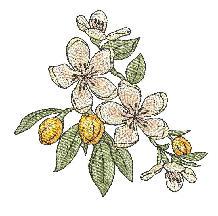 Orange Blossoms Embroidery Designs