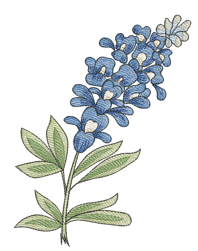 Texas - Bluebonnet - Embroidery Designs