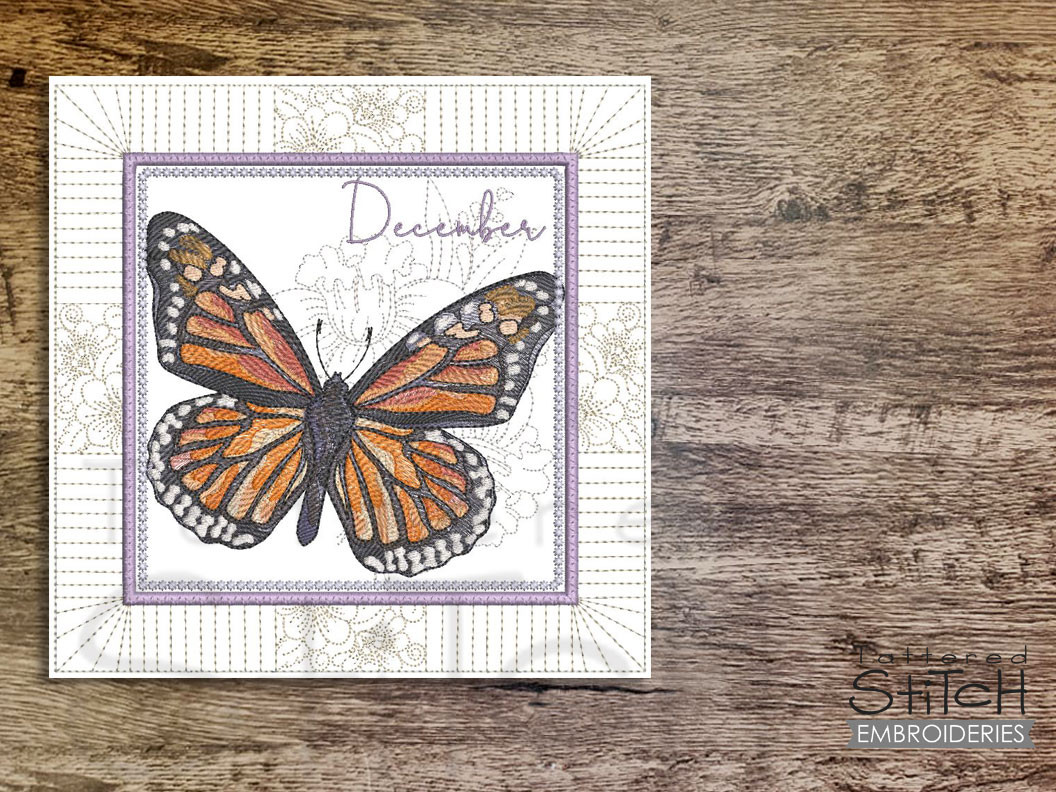 December Butterfly of the Month - QB- Embroidery Designs & Patterns ...
