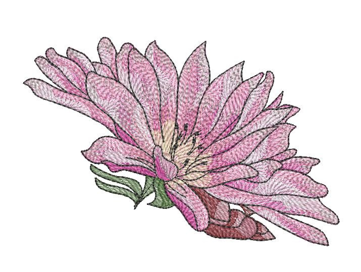 Montana, bitterroot - Embroidery Designs