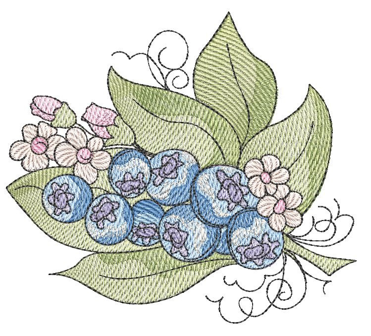 Blueberries Bundle - Machine Embroidery Designs