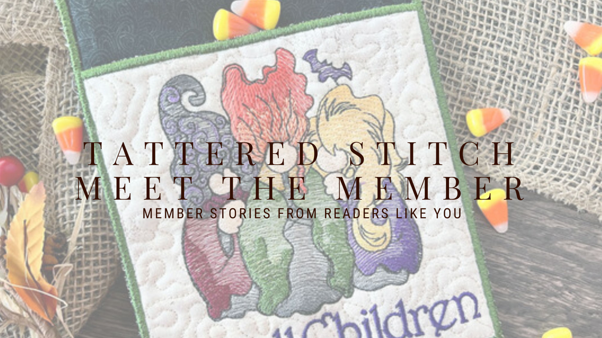 Meet our Featured Member --- Diana Wacker Faue - Tattered Stitch ...