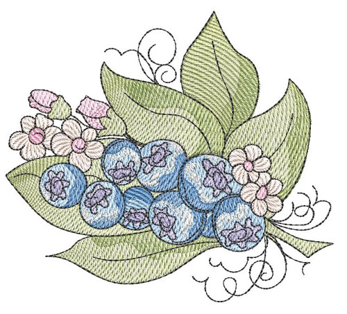 Blueberries - Embroidery Designs & Patterns