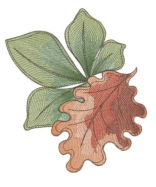 Oak leaf 2- Embroidery Designs & Patterns