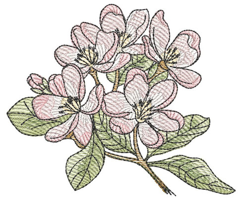 Mayflower Embroidery Designs