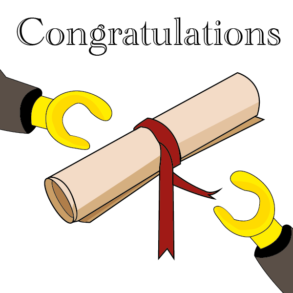 LEGO graduation, graduation gift, quirky graduation gift, geeky ...