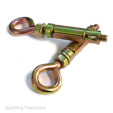 M6 Eye Bolt Shield Anchor Wall Heavy Duty Fixing Brick Masonry Rawl ...