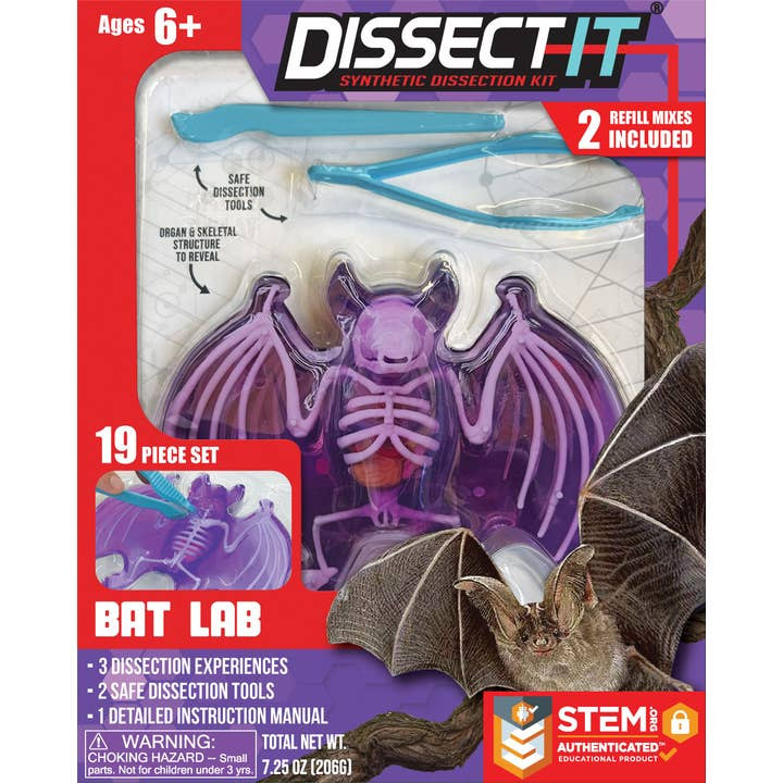 Dissect-it Bat Lab