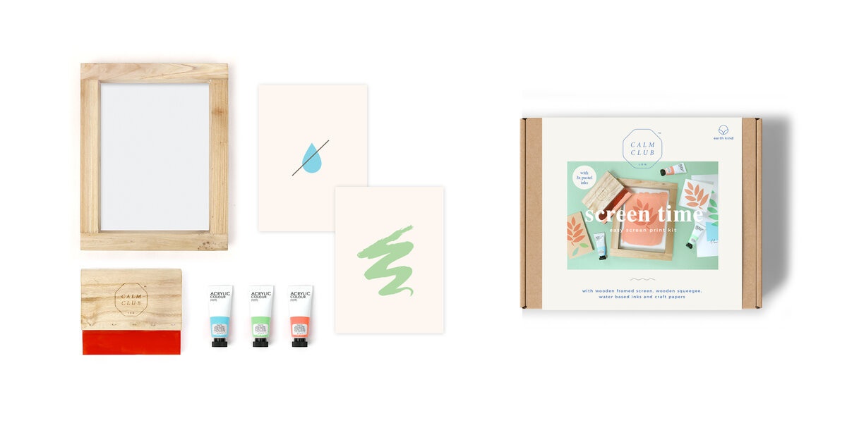 Screen Printing Kit