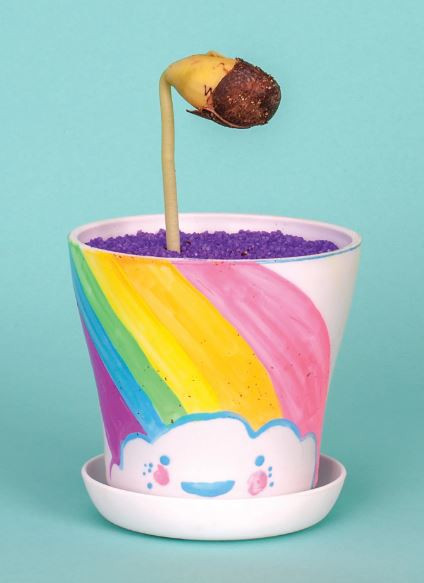 Creativity for Kids: Magic Bean Garden - Carnegie Museums Stores