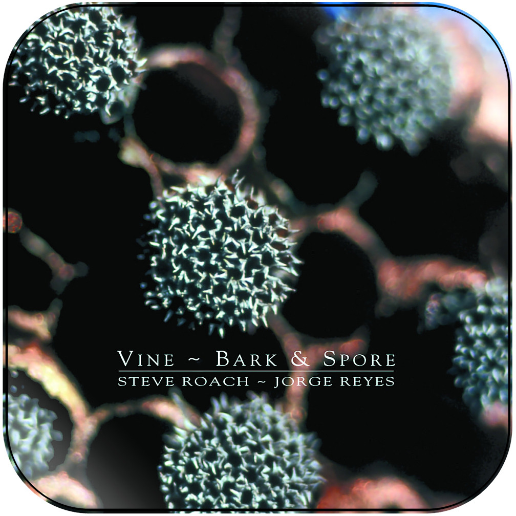Steve Roach vine bark spore Album Cover Sticker Album Cover Sticker