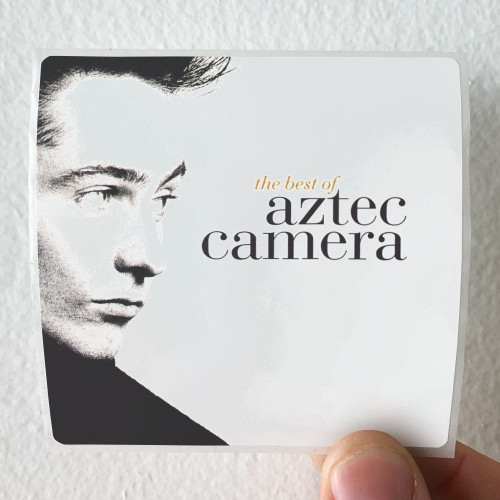 Aztec Camera Stray Album Cover Sticker Album Cover Sticker