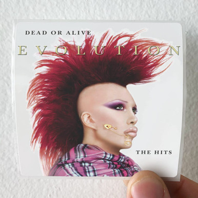 Dead or Alive Evolution The Hits Album Cover Sticker