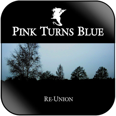 Pink Turns Blue Re Union Album Cover Sticker Album Cover Sticker
