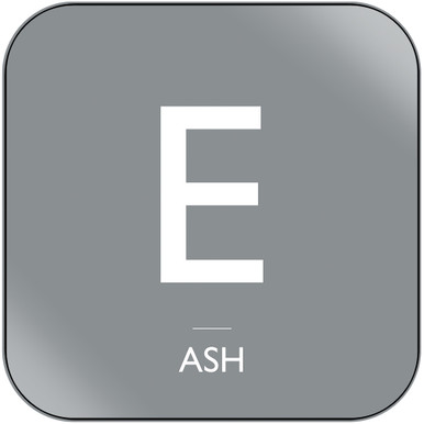 Ash The Dead Disciples Album Cover Sticker Album Cover Sticker
